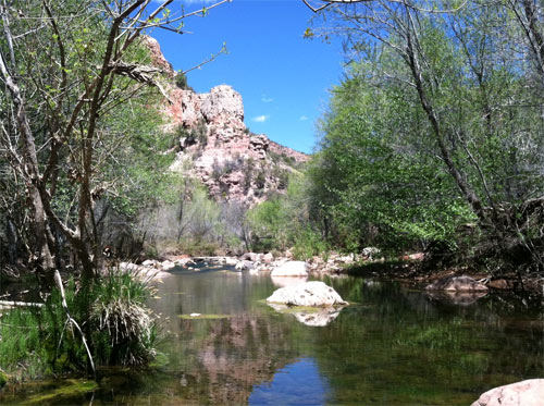Parsons Trail Hike in Sycamore Canyon Wilderness – Arizona Field Trips